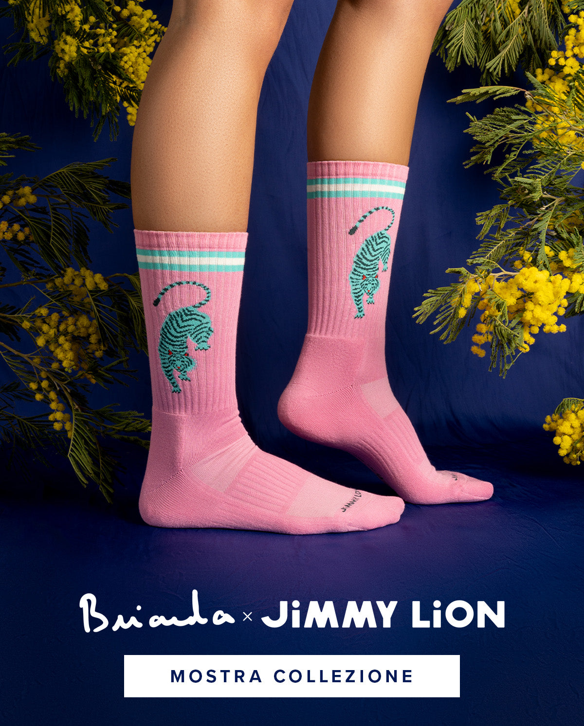 Calzini Particolari e Colorati | Uomo, Donna e Bambini | Jimmy Lion